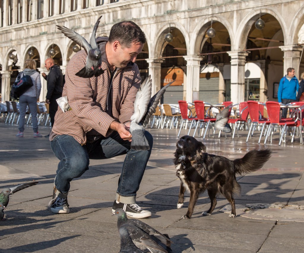Explore Venice With Your Dog – Part 2 | Dog Travel Italy – VanDoggo